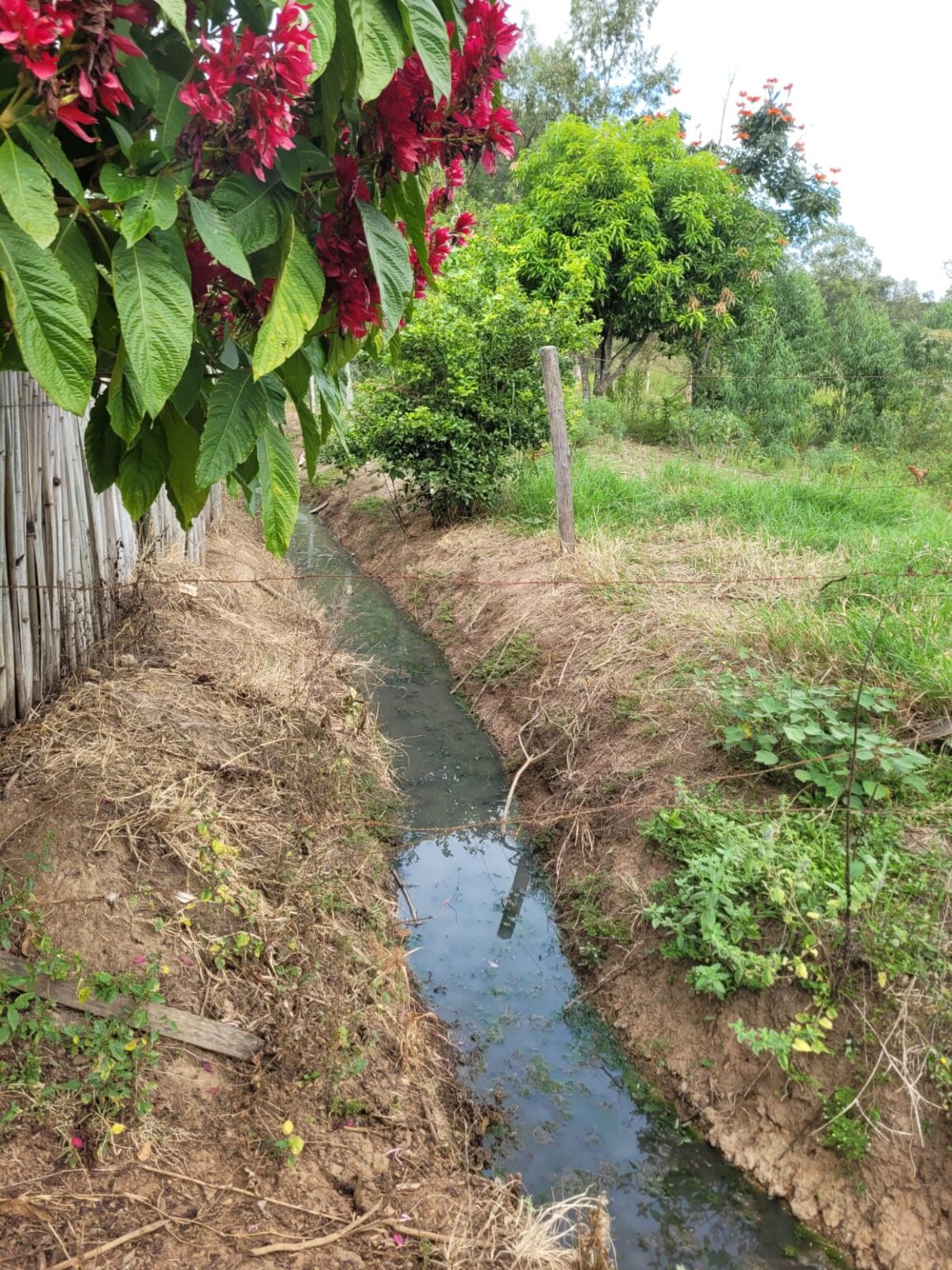Reflexões sobre o racismo ambiental no Brasil Reflexões sobre o racismo ambiental no Brasil